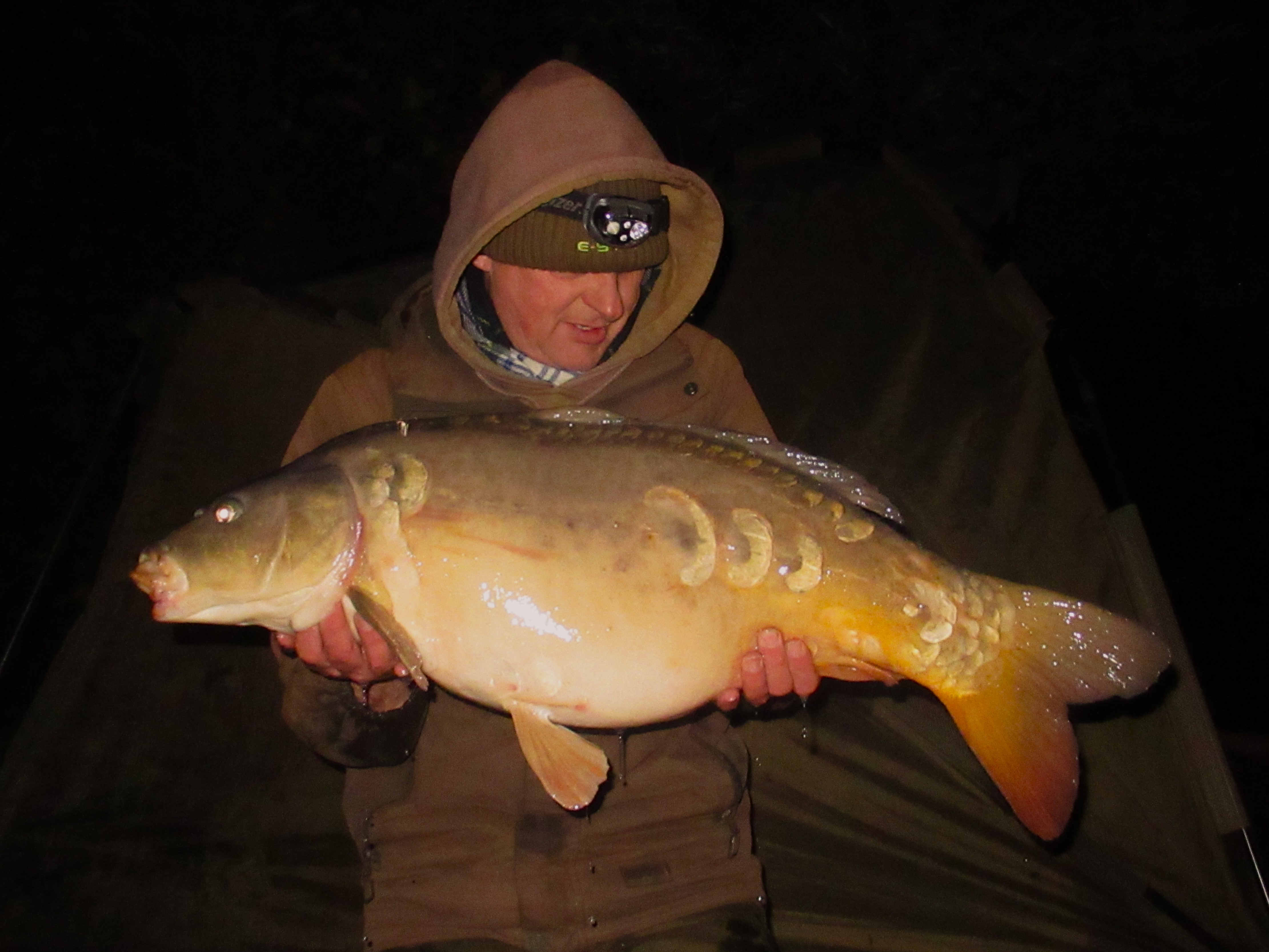 Sub zero Mirror | Total Carp